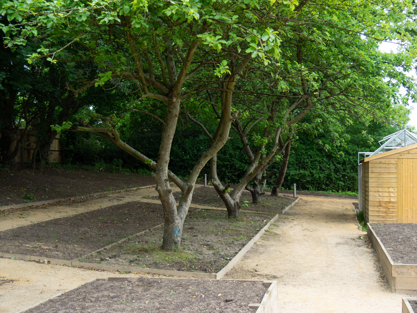 What We Do - Bugler Developments